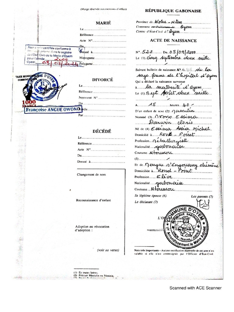 ACE Scanner_2024_07_11(1)(1) | PDF