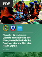 DRRM-H Planning Guide - May 10 | PDF | Emergency Management | Hazards