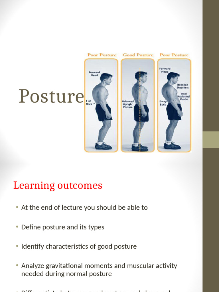 Week 8 Posture Pdf Vertebral Column Hip