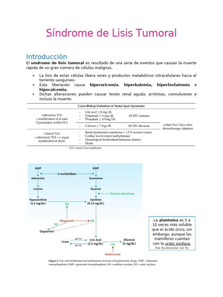 Síndrome de Lisis Tumoral | PDF | Cáncer | Medicina CLINICA