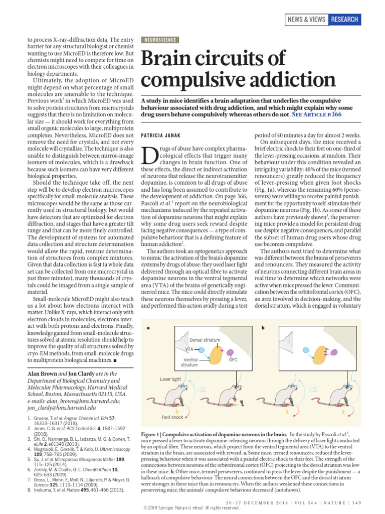 Brain Circuits of Compulsive Addiction | PDF | Dopamine | Brain