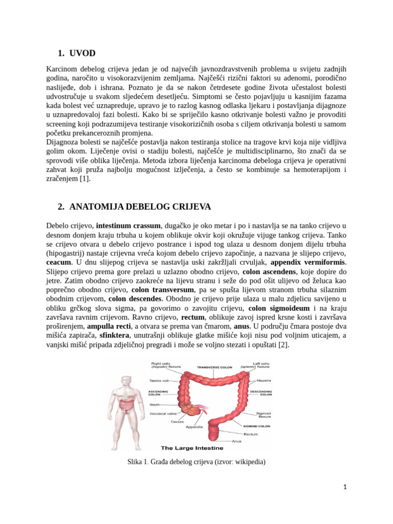 Njega Bolesnika Sa Karcinomom Debelog Crijeva | PDF