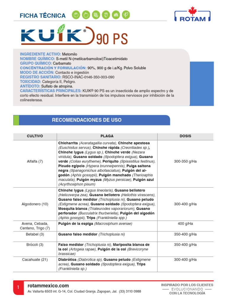 FT Kuik | PDF | Insectos
