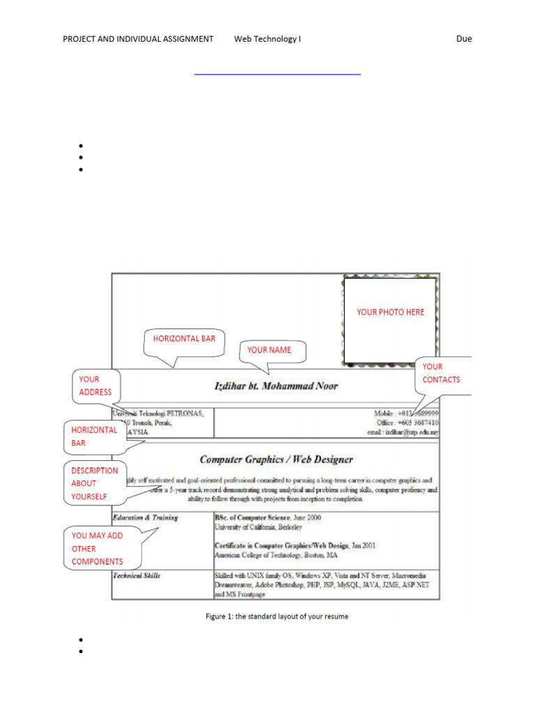 Project and Individual Assignments | PDF | Websites | Html