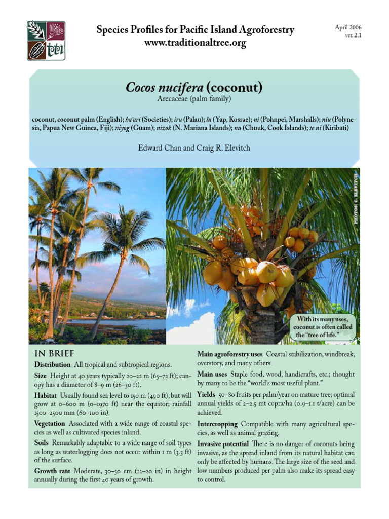cocos-nucifera-coconut | PDF | Coconut | Leaf
