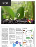 Fall Nature Walk Worksheet | PDF | Organisms | Nature
