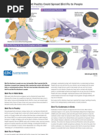 BZZ BZZ BZZ: Sketchy Micro | PDF | Streptococcus | Gram Negative Bacteria
