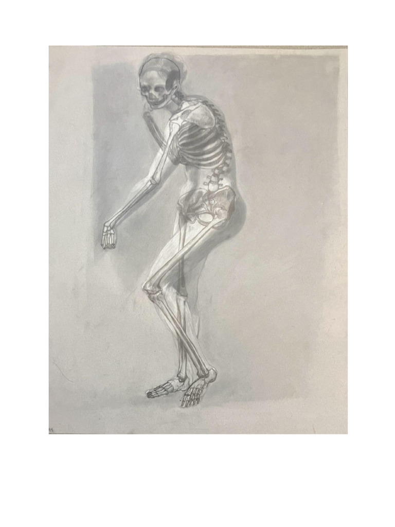 Life Drawing 1 | PDF