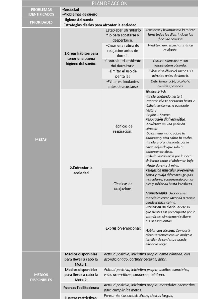 Cuadro Plan de Acción | PDF | Dormir