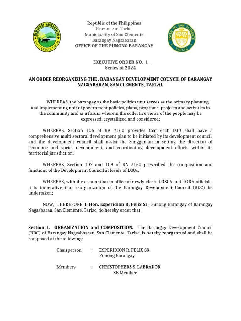 Barangay Development Council | PDF | Governance | Justice
