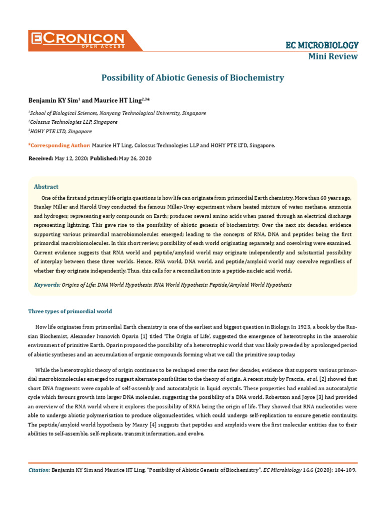 Possibility of Abiotic Genesis of Bioche-2 | PDF | Abiogenesis | Rna