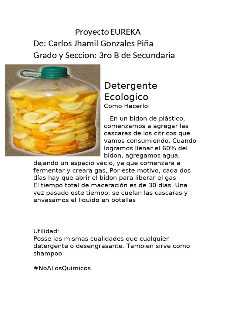 Proyecto Eureka | PDF