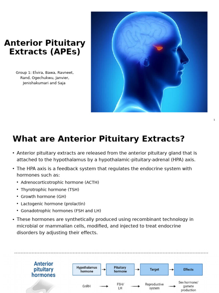 Biologic Presentation - Anterior Pituitary Extracts | PDF | Growth ...