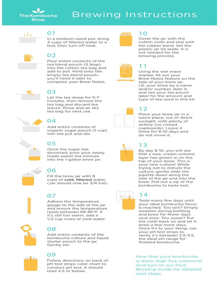 Kombucha Brewing Instructions Guide | PDF | Tea | Brewing