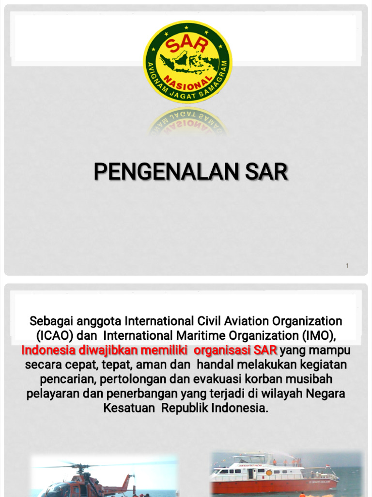 Pengenalan SAR | PDF