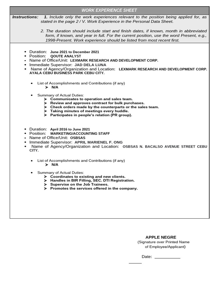 Work Experience Sheet Pelorina | PDF