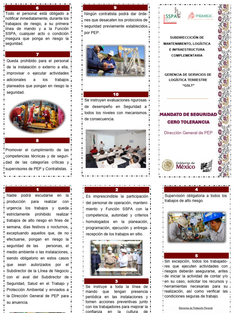 Triptico Mandato de Seguridad | PDF | Logística