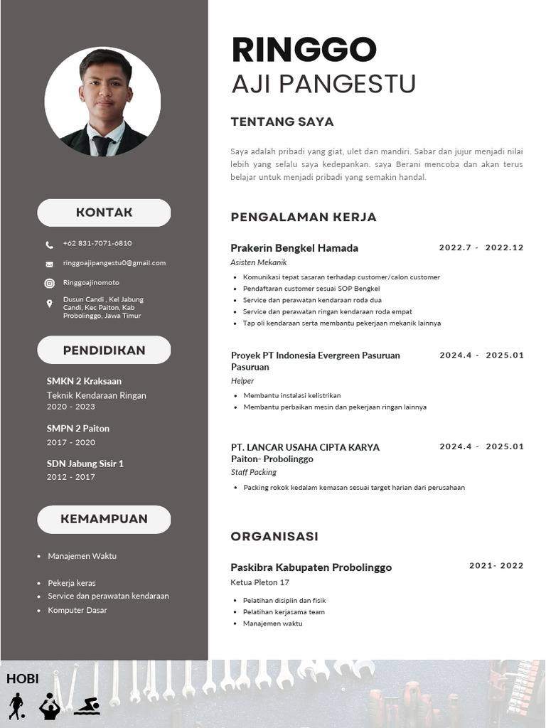 Professional CV Resume Jojo | PDF