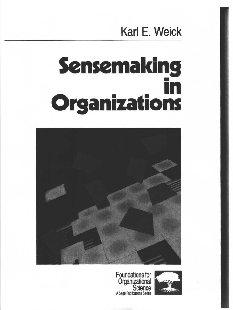 Sensemaking in Organizations | PDF | Thought | Experience