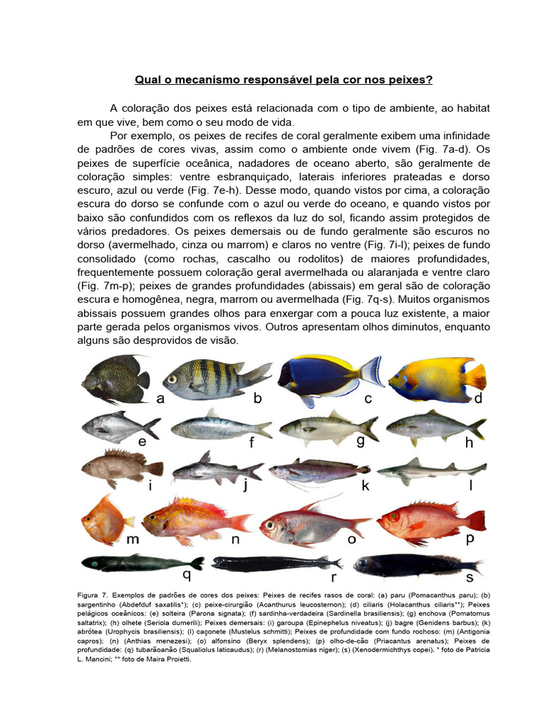 Seminário_ a cor em peixes | PDF | Cor | Peixes