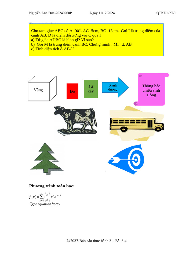 Bai3 4 Ducna 20240268P | PDF