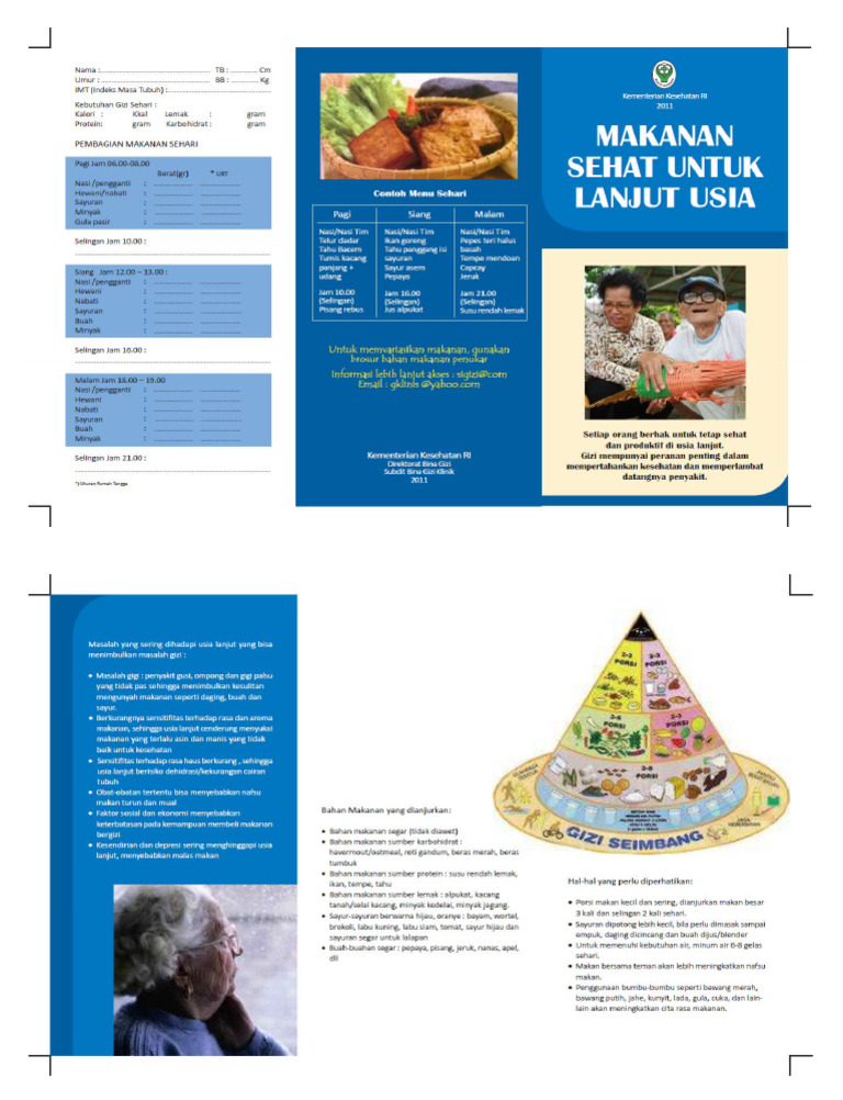 LEAFLET LANSIA | PDF