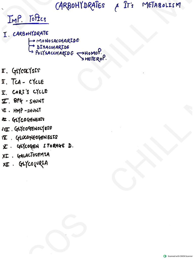 Introduction and Metabolism of Carbohydrates Notes | PDF