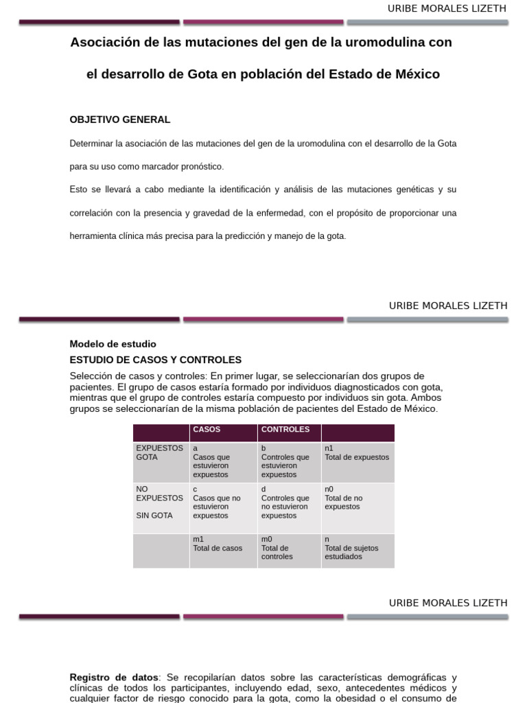 Asociación de Las Mutaciones Del Gen de La Uromodulina Con El ...
