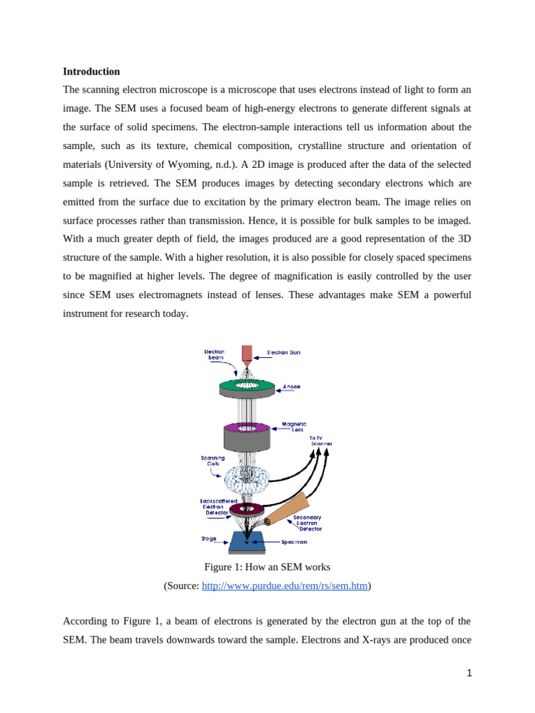 SEM_report_reference | PDF | Scanning Electron Microscope | Electron