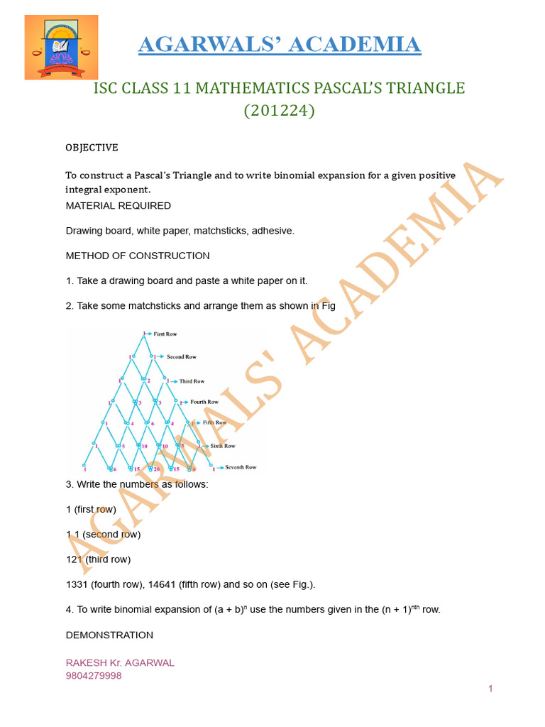 Mathematics Class 11 Project Pascals Triangle | PDF