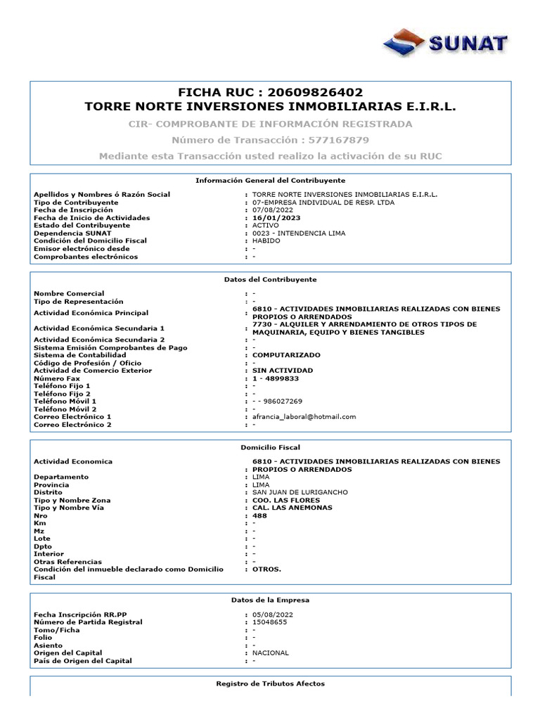 FICHA RUC EMPRESA EIRL | PDF | Industrias de servicio | Economias