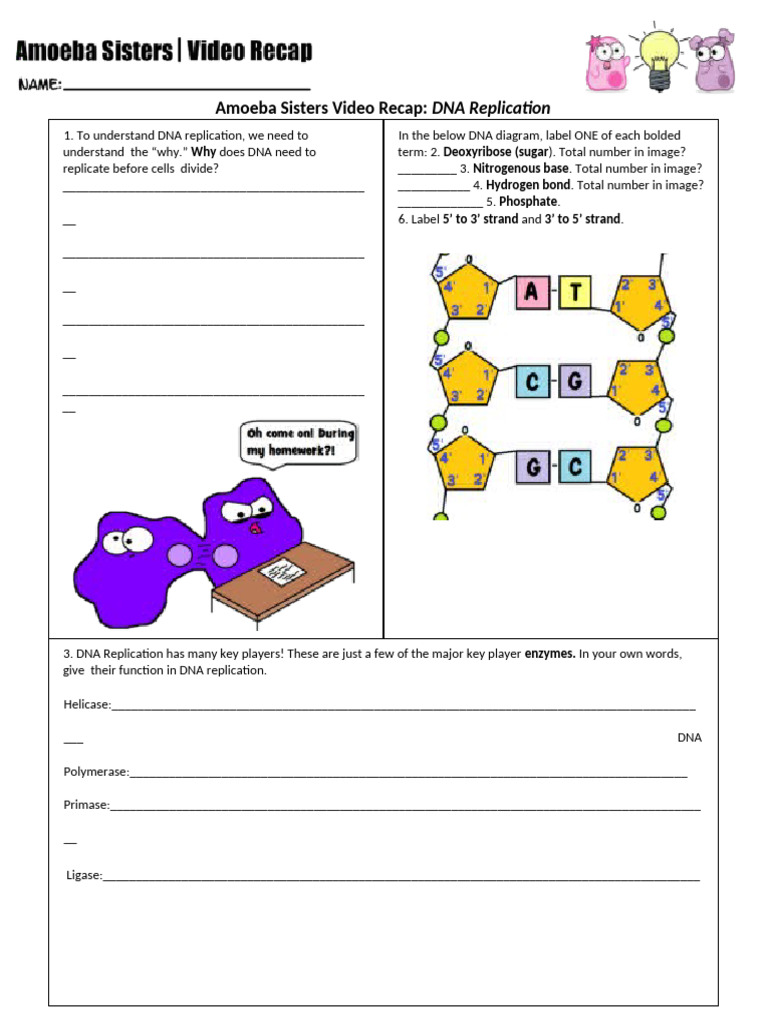 Video Recap of Dna Replication by Amoeba Sisters v2 | PDF