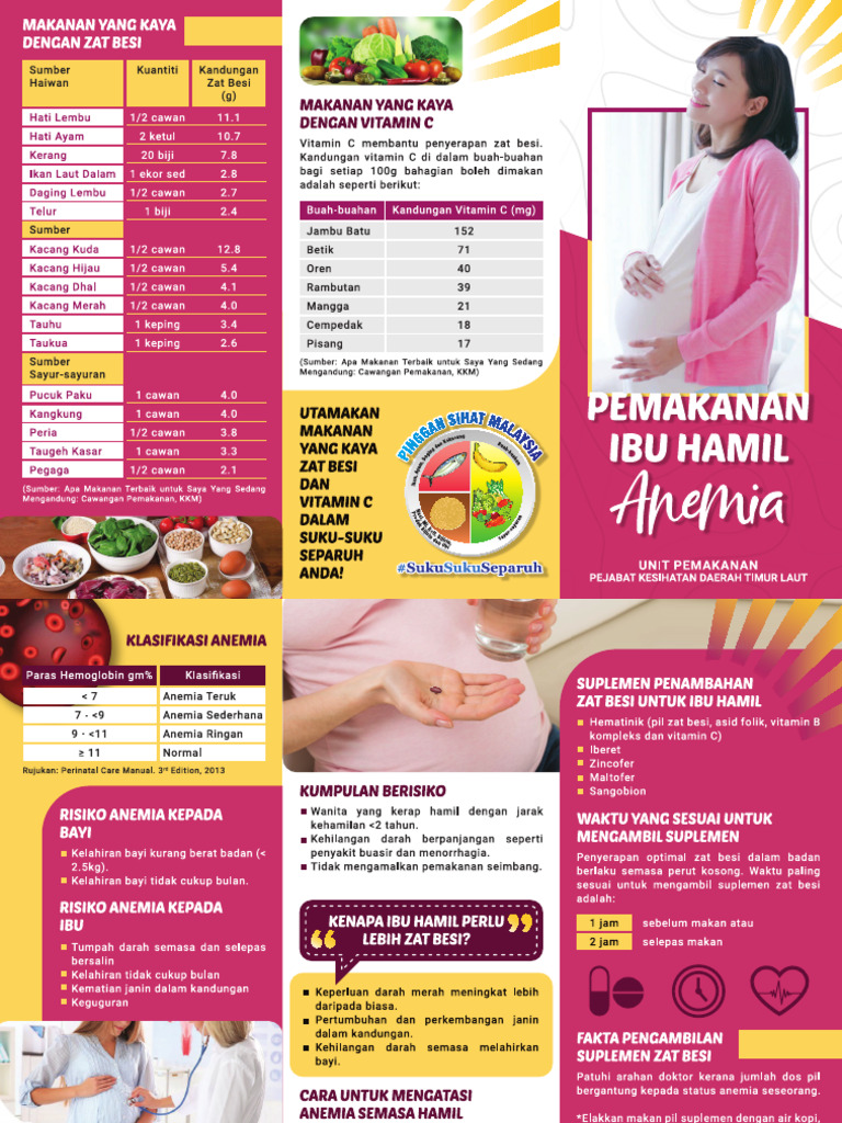 Risalah Pemakanan Ibu Hamil Anemia | PDF
