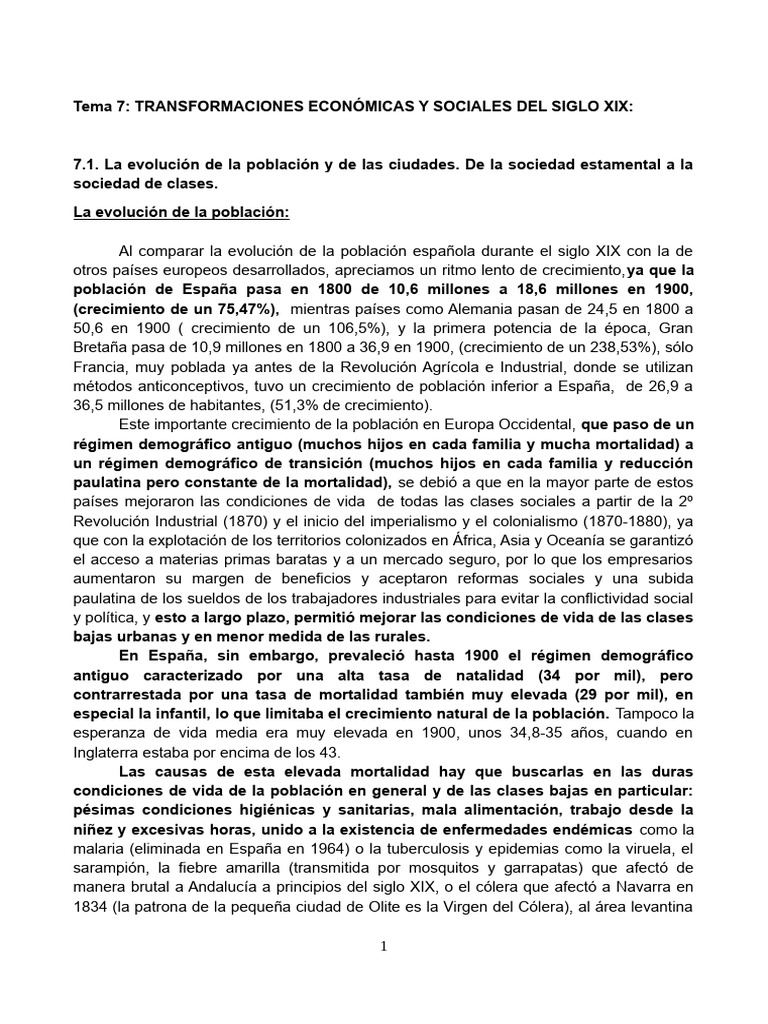 Tema 7. Transformaciones Económicas y Sociales Del Siglo Xix. Nuevo | PDF | Proteccionismo ...
