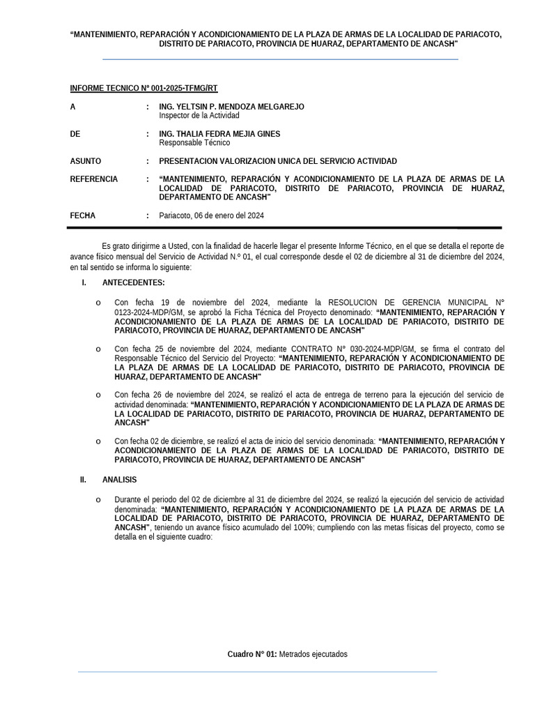 INFORME TECNICO N° 001-2024-TFMG-PARIACOTO | PDF | Pinturas | Materiales
