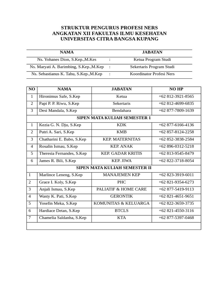 Struktur Pengurus Profesi Ners-1 | PDF