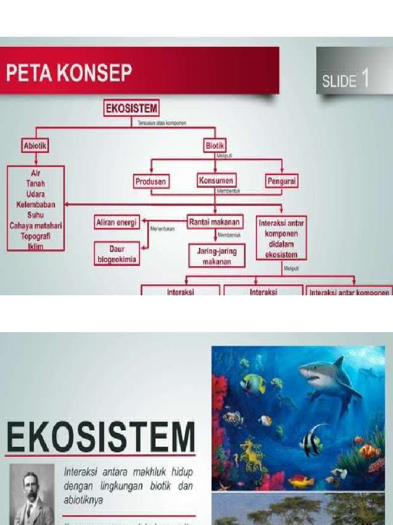 PPT Ekosistem & Interaksi Antar Komponen Ekosistem | PDF