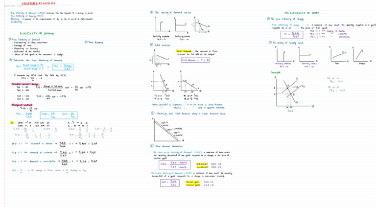 Chapter 5 - Elasticity | PDF