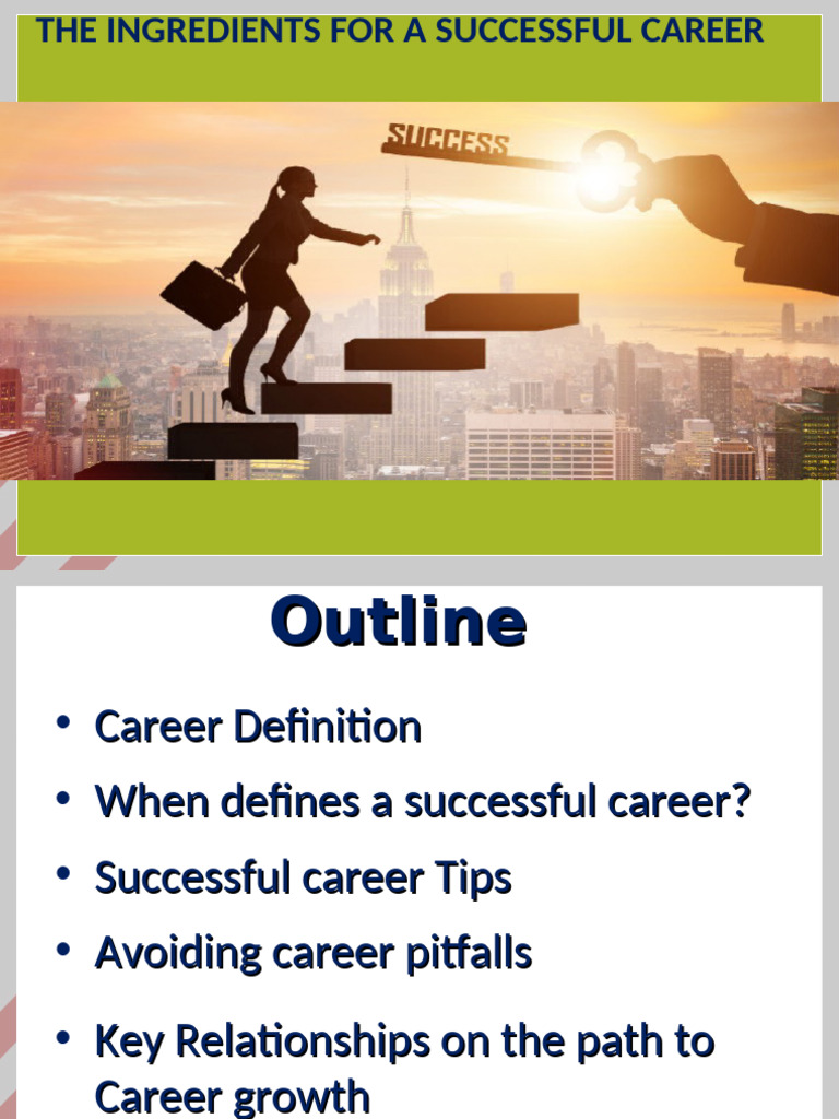 Career Success Strategies | PDF | Mentorship | Behavioural Sciences