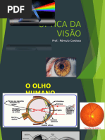 Acinetopsia | PDF | Enxaqueca | Percepção visual