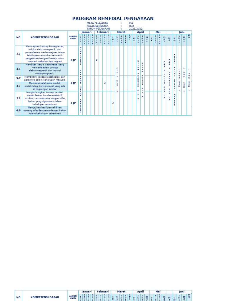 Program Remedial Pengayaan | PDF