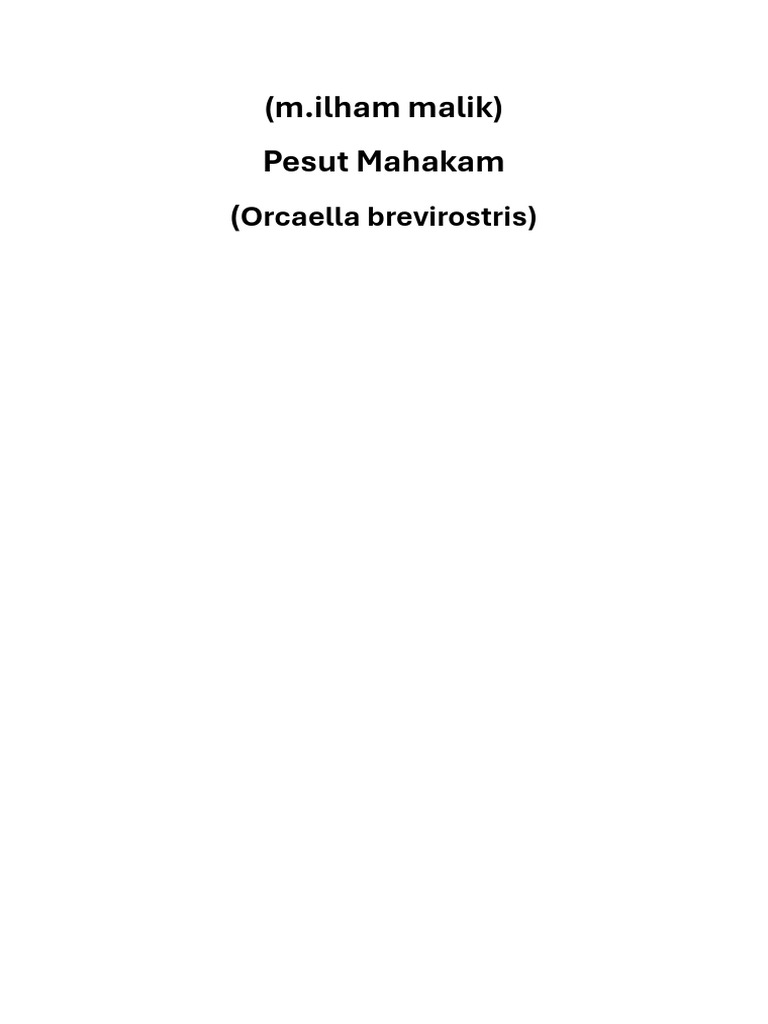 Aaa Kasian Aaa | PDF