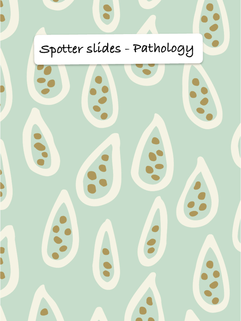 Kapil Path Slides 1 | PDF