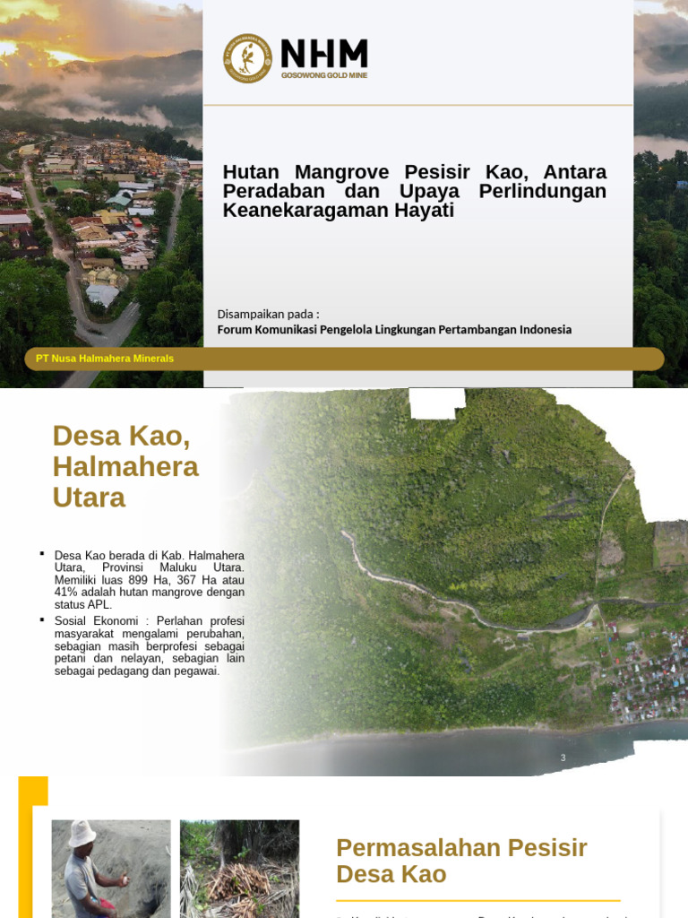 Materi Presentation NHM_Hutan Mangrove Kao-Antara Peradaban dan Upaya Perlindungan Kehati | PDF