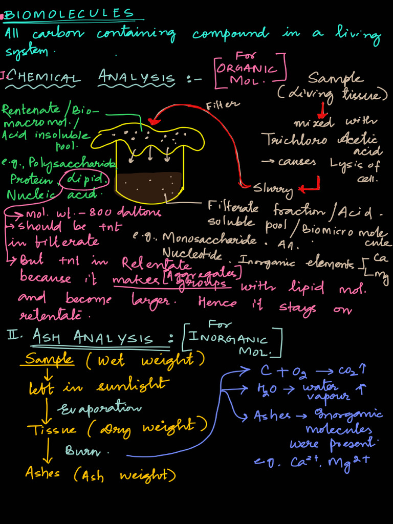Biomolecules 241128 001118 | PDF