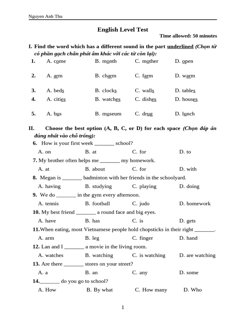 G6 - English Level Test | PDF