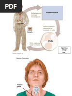 CASREP Power Point | PDF