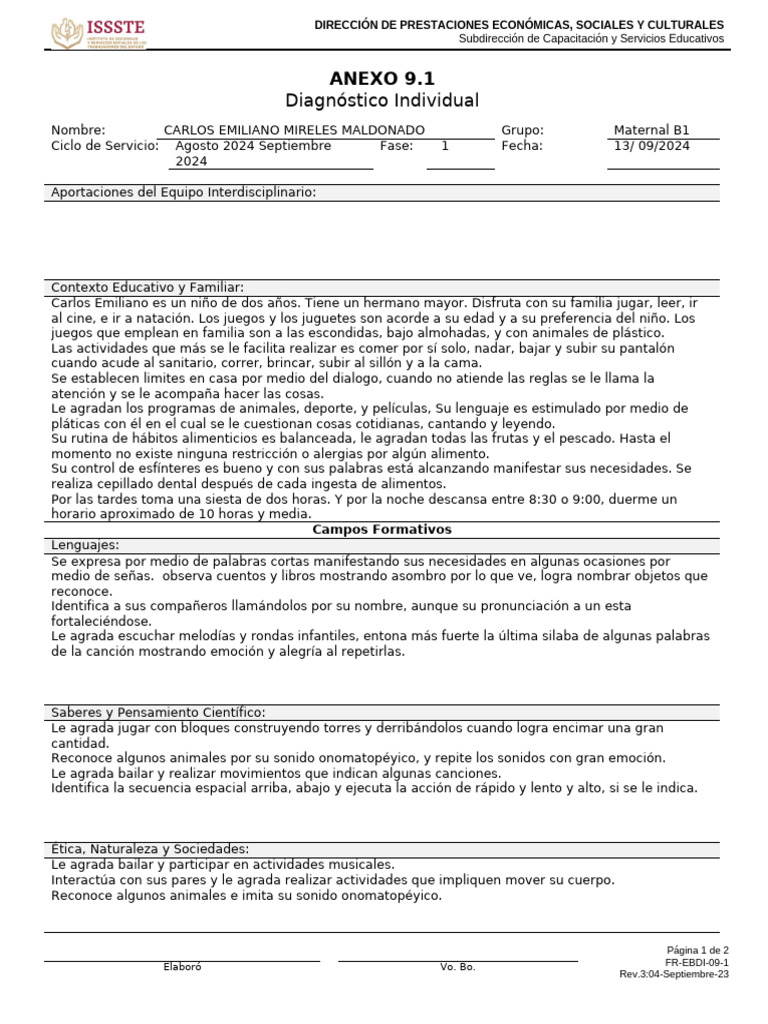 Anexo 9.1 Formato | PDF