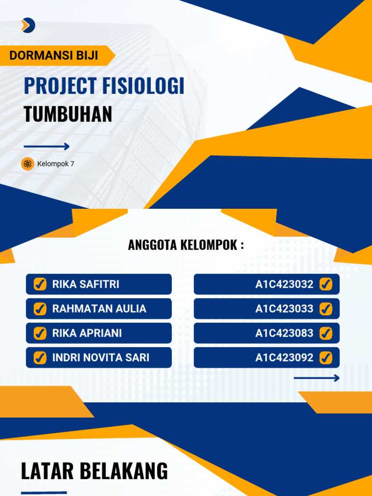 ppt projcet fistum | PDF