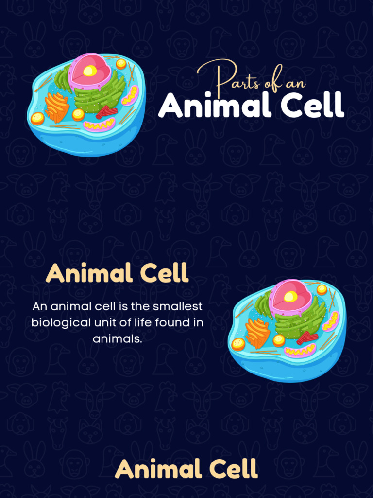 Parts and Functions of Animal Cells | PDF